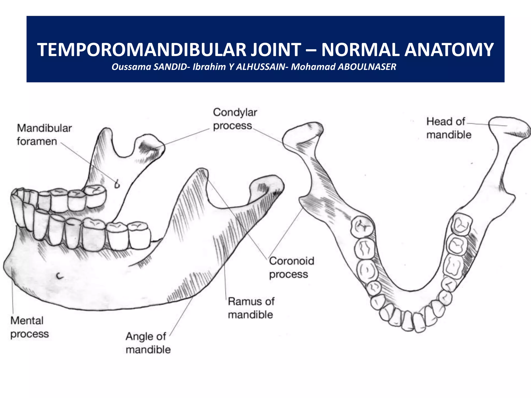 157 temporomandibular joint-tmj- anatomy | PPT