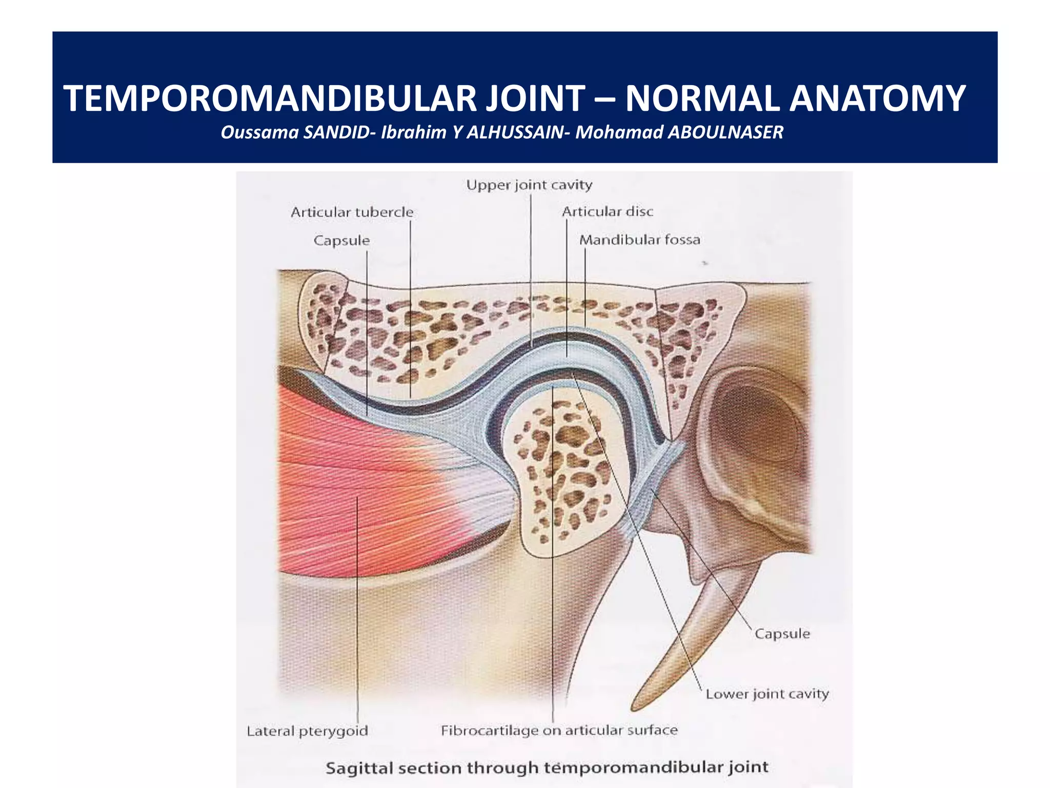 157 temporomandibular joint-tmj- anatomy | PPT