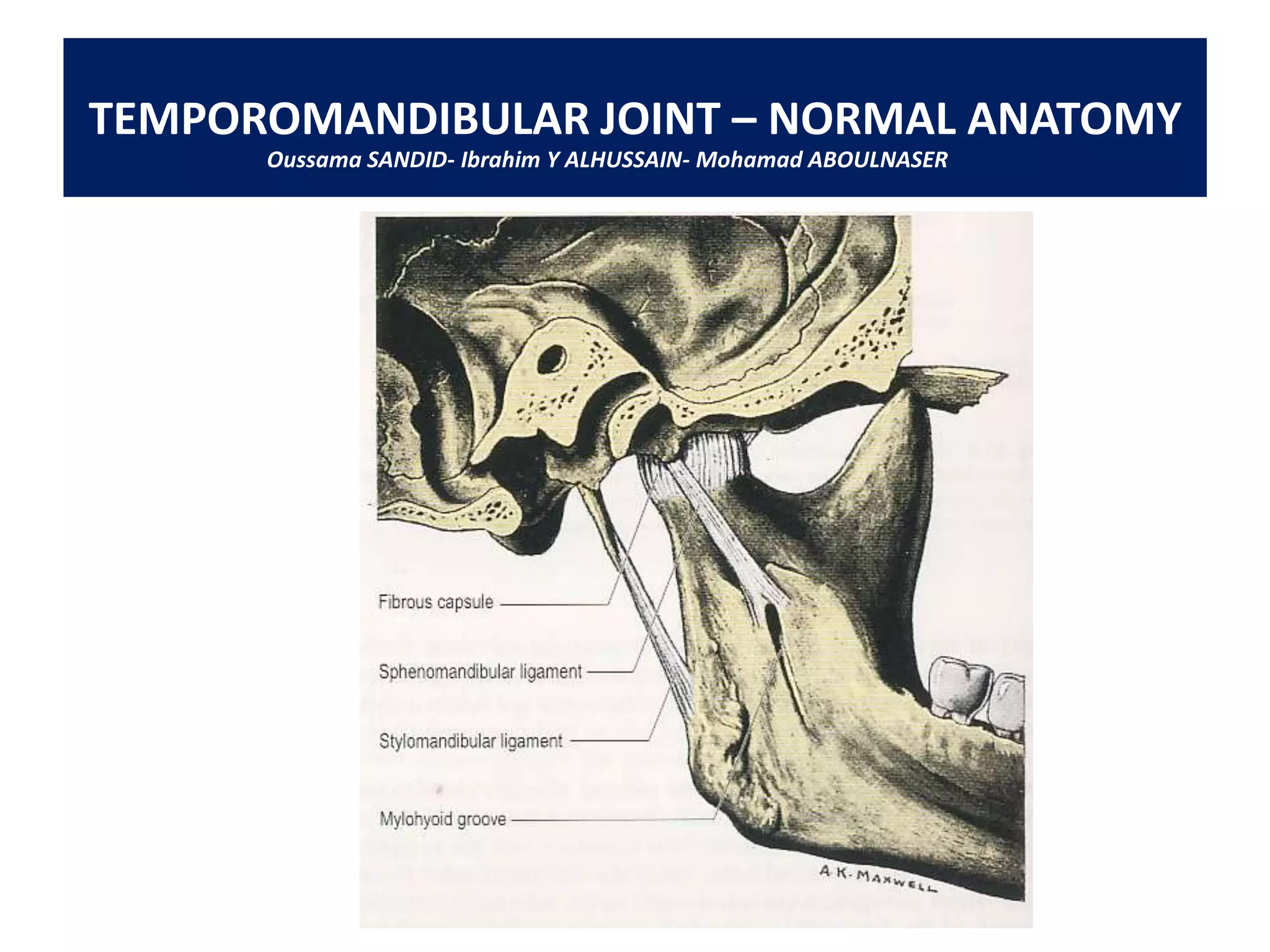 157 temporomandibular joint-tmj- anatomy | PDF