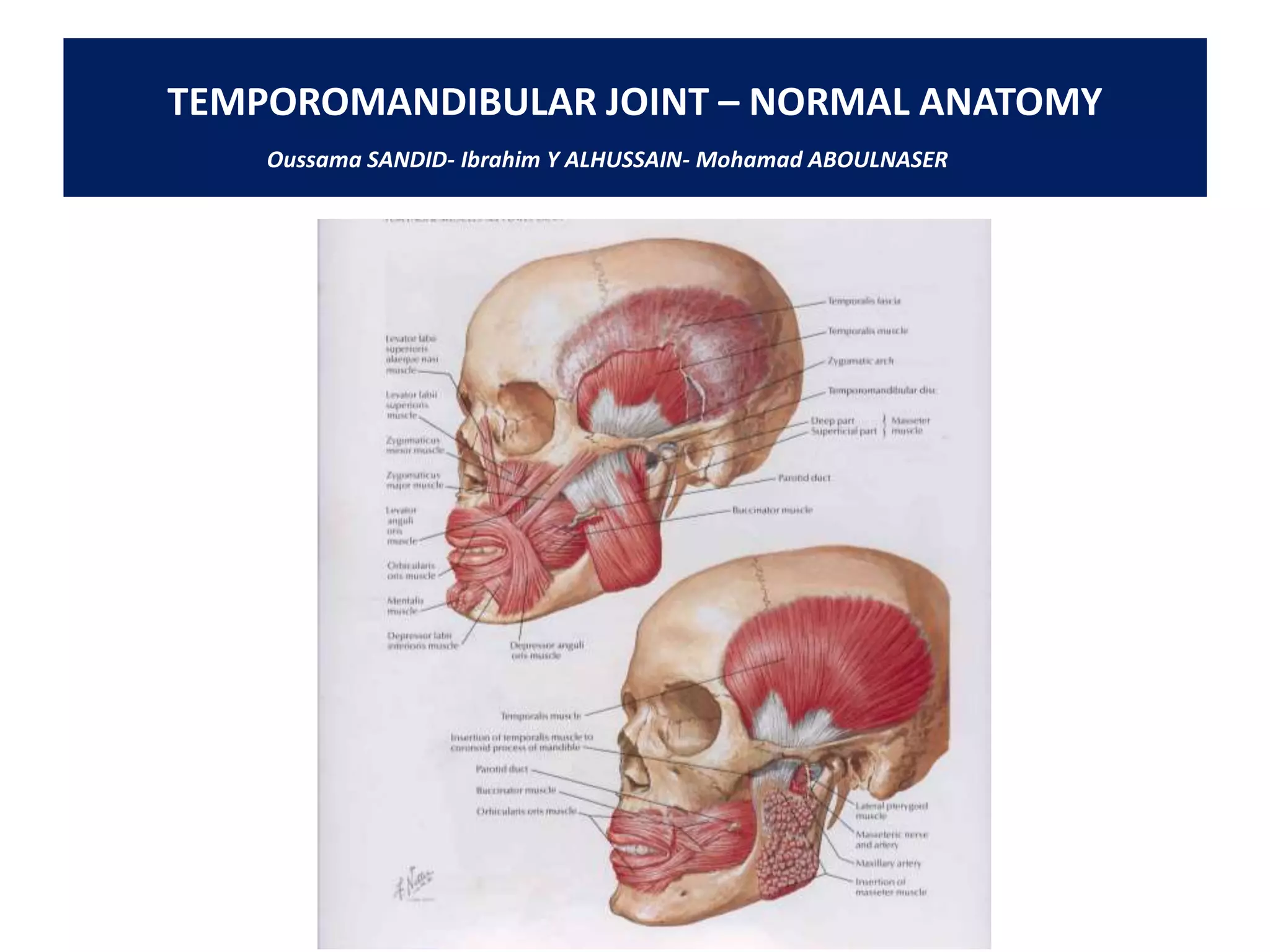 157 temporomandibular joint-tmj- anatomy | PDF