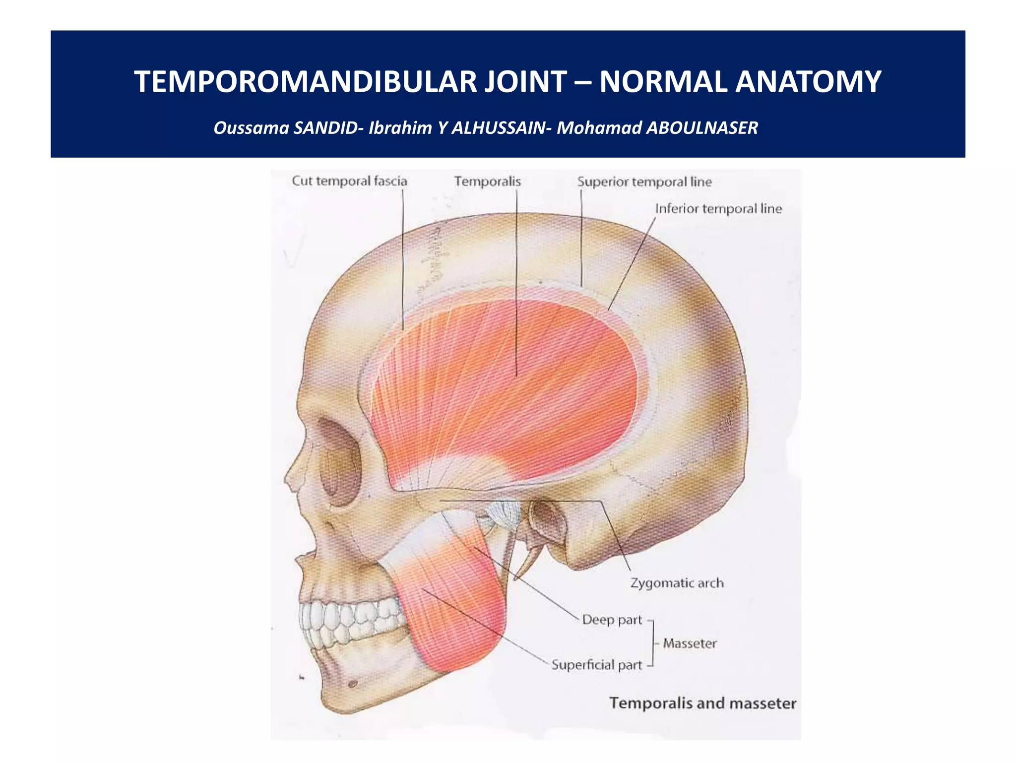 157 temporomandibular joint-tmj- anatomy | PDF
