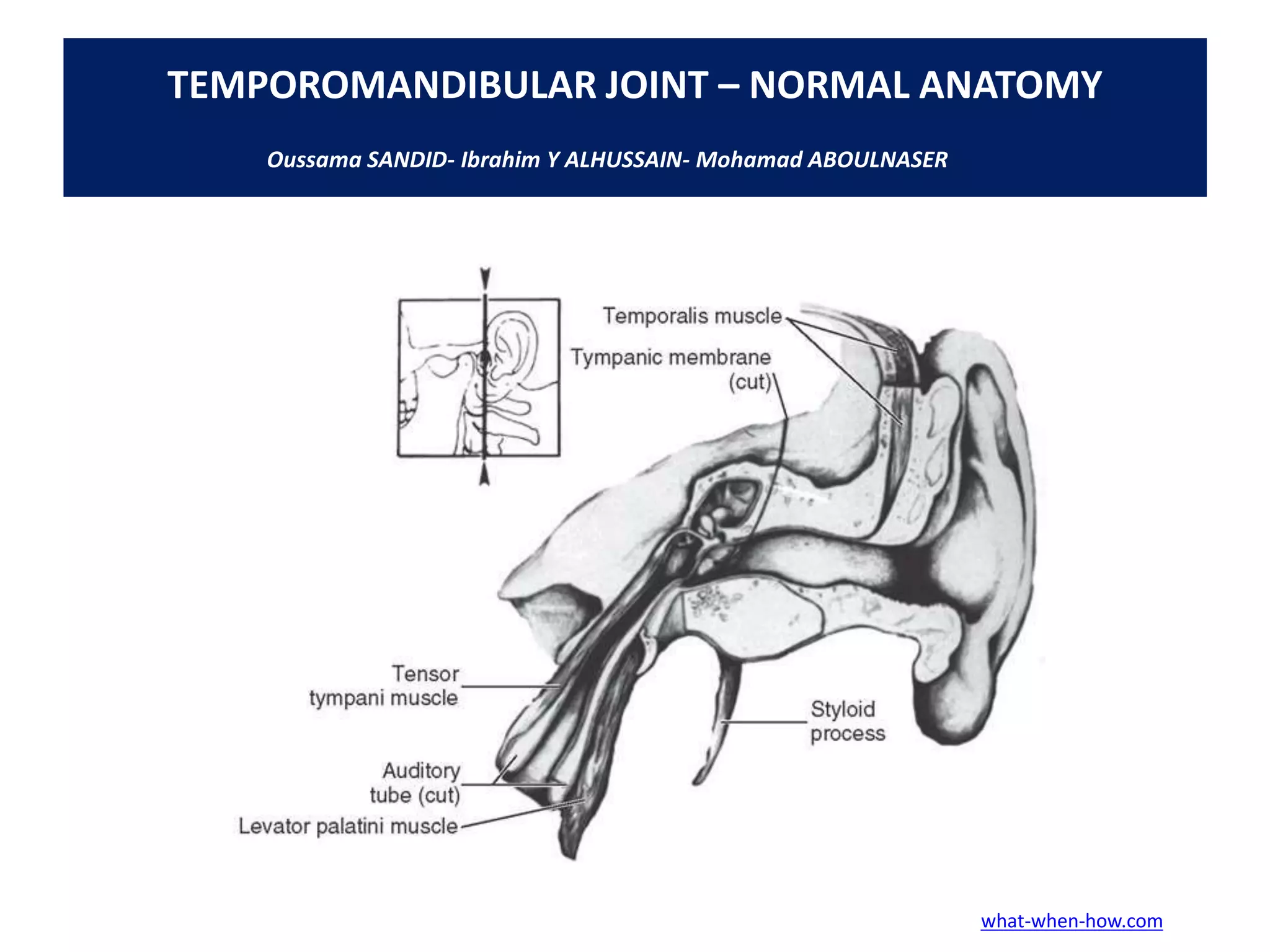 157 temporomandibular joint-tmj- anatomy | PDF