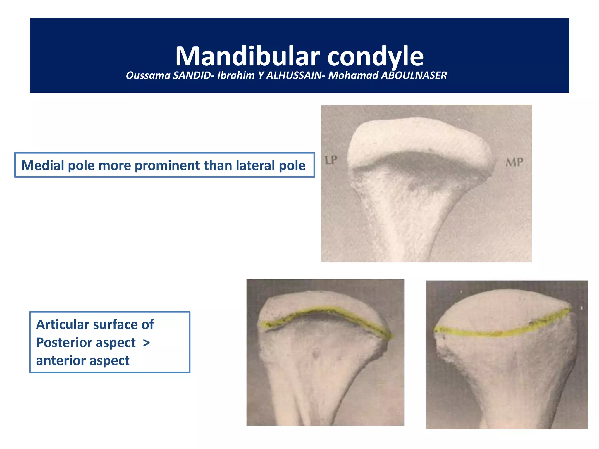 157 temporomandibular joint-tmj- anatomy | PDF