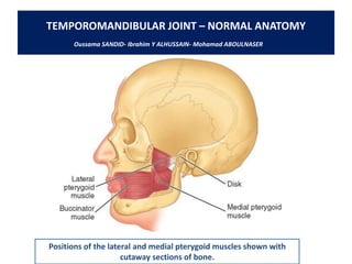 157 temporomandibular joint-tmj- anatomy | PDF
