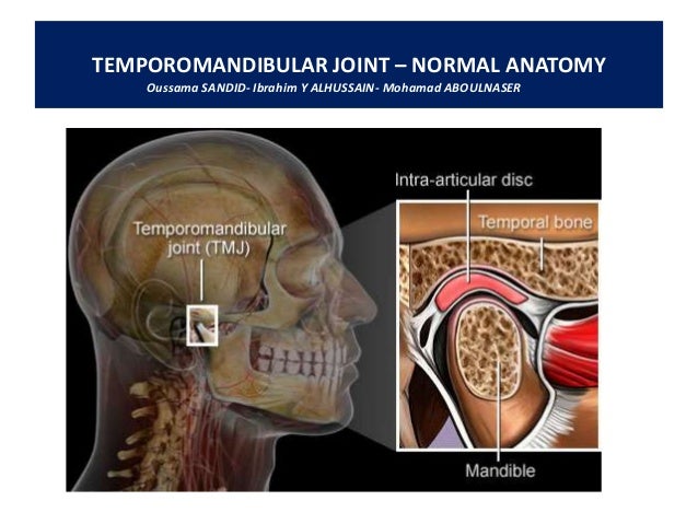 157 temporomandibular joint-tmj- anatomy