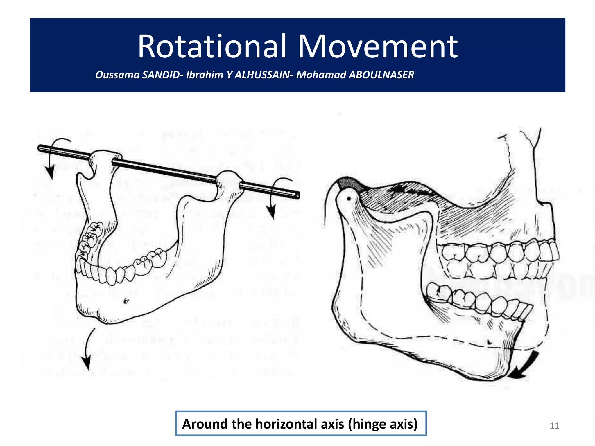 157 temporomandibular joint-tmj- anatomy mechanichs | PDF