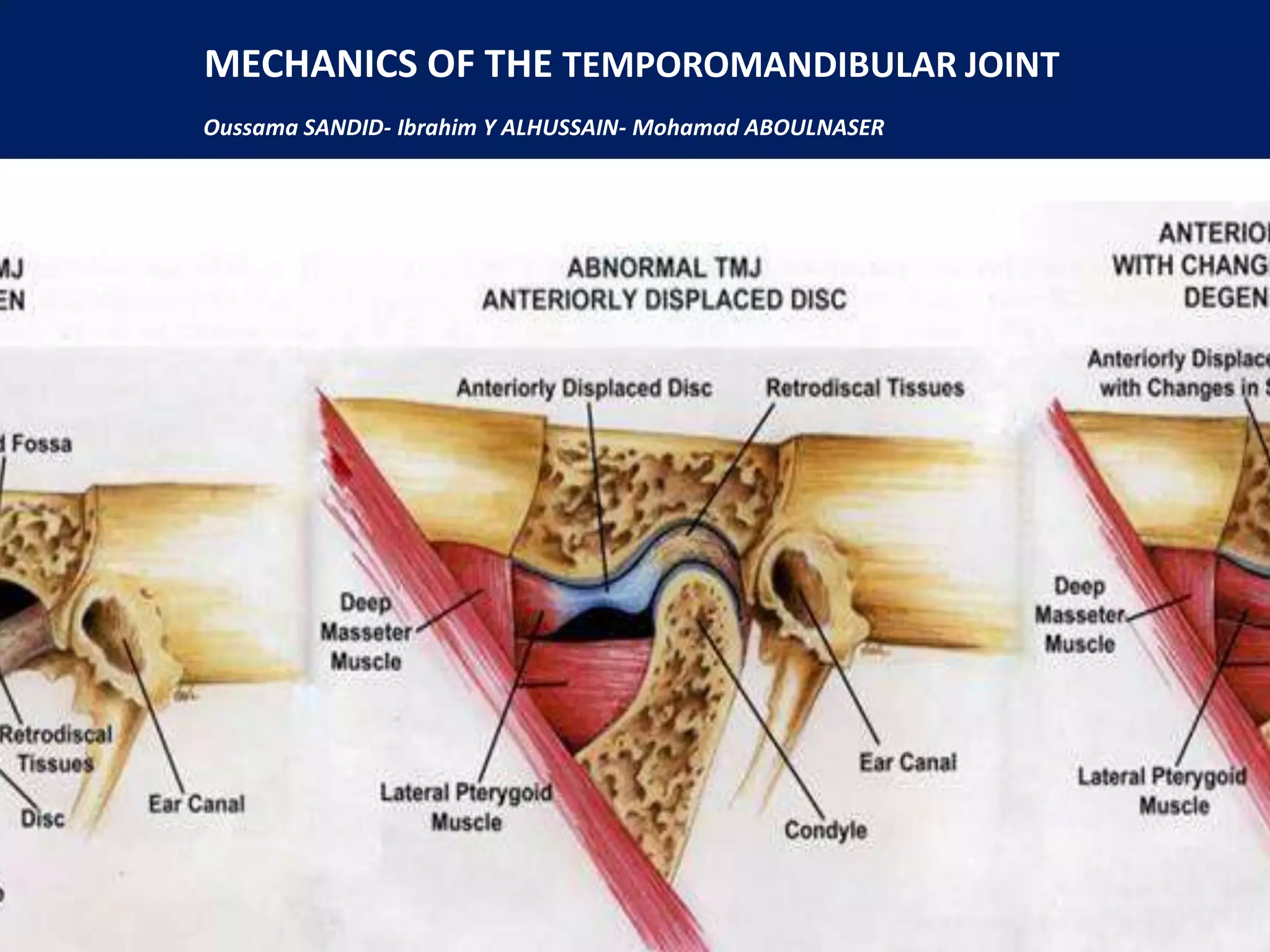157 temporomandibular joint-tmj- anatomy mechanichs | PDF