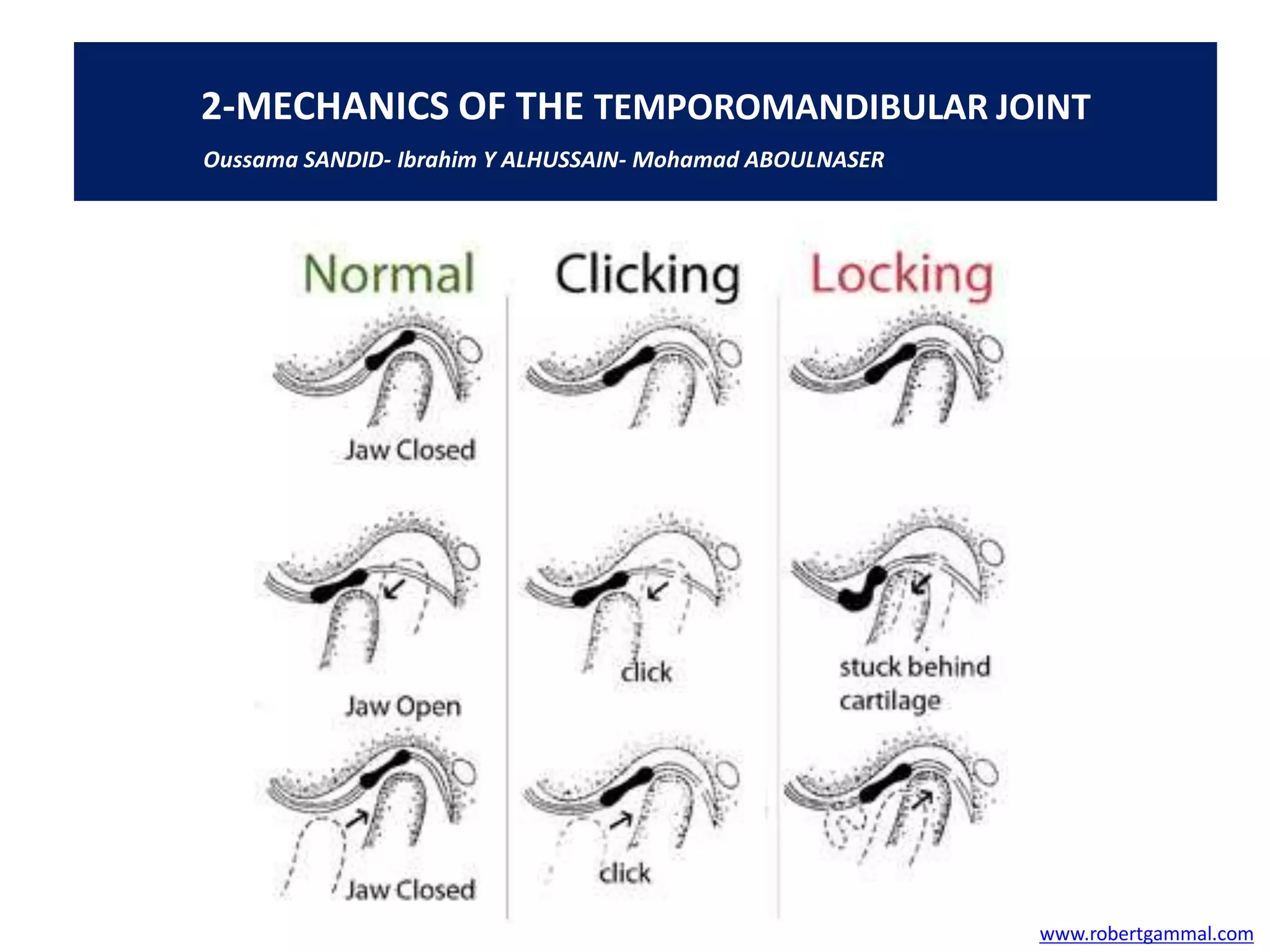 157 temporomandibular joint-tmj- anatomy mechanichs | PDF
