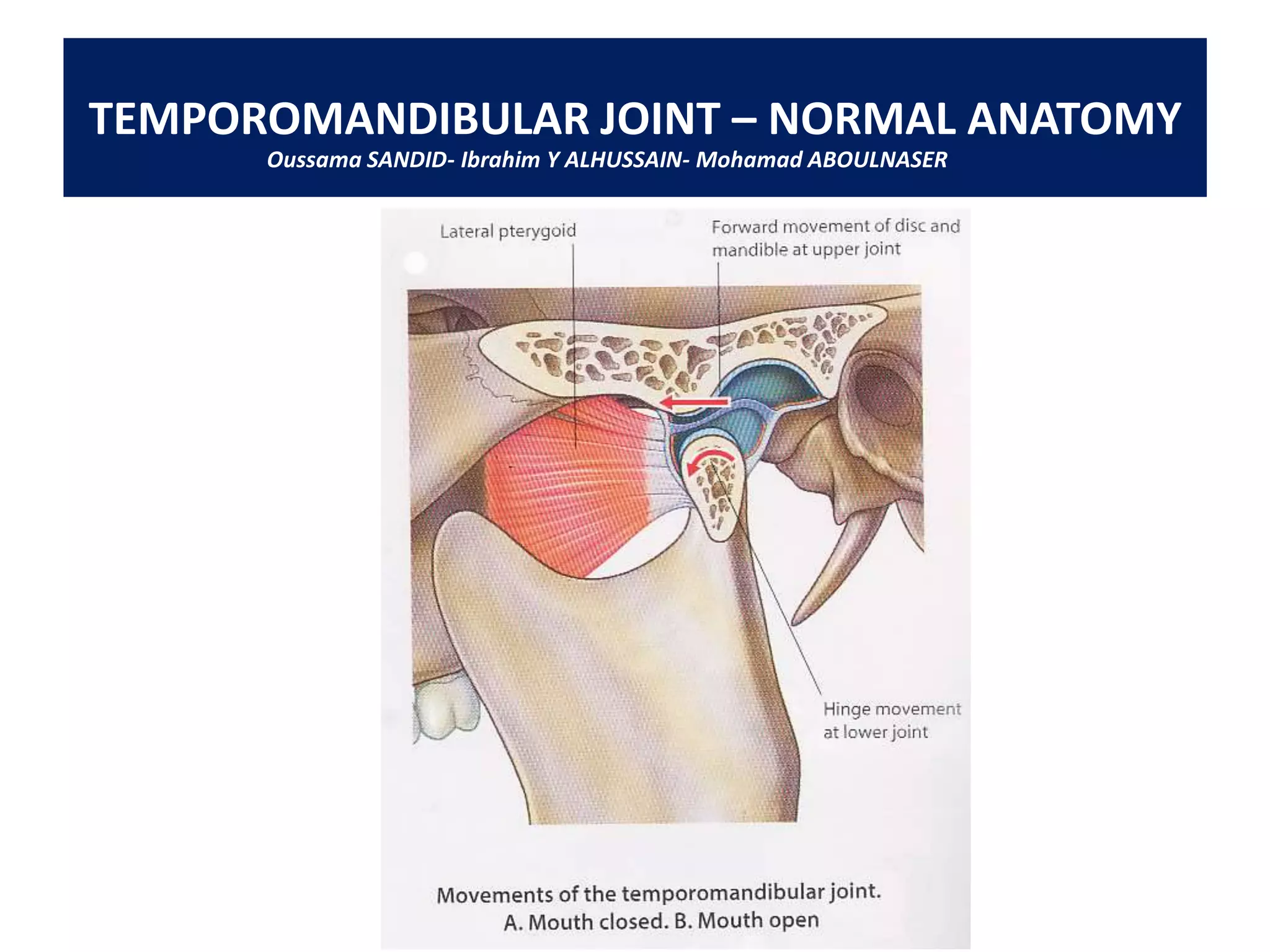 157 temporomandibular joint-tmj- anatomy mechanichs | PDF