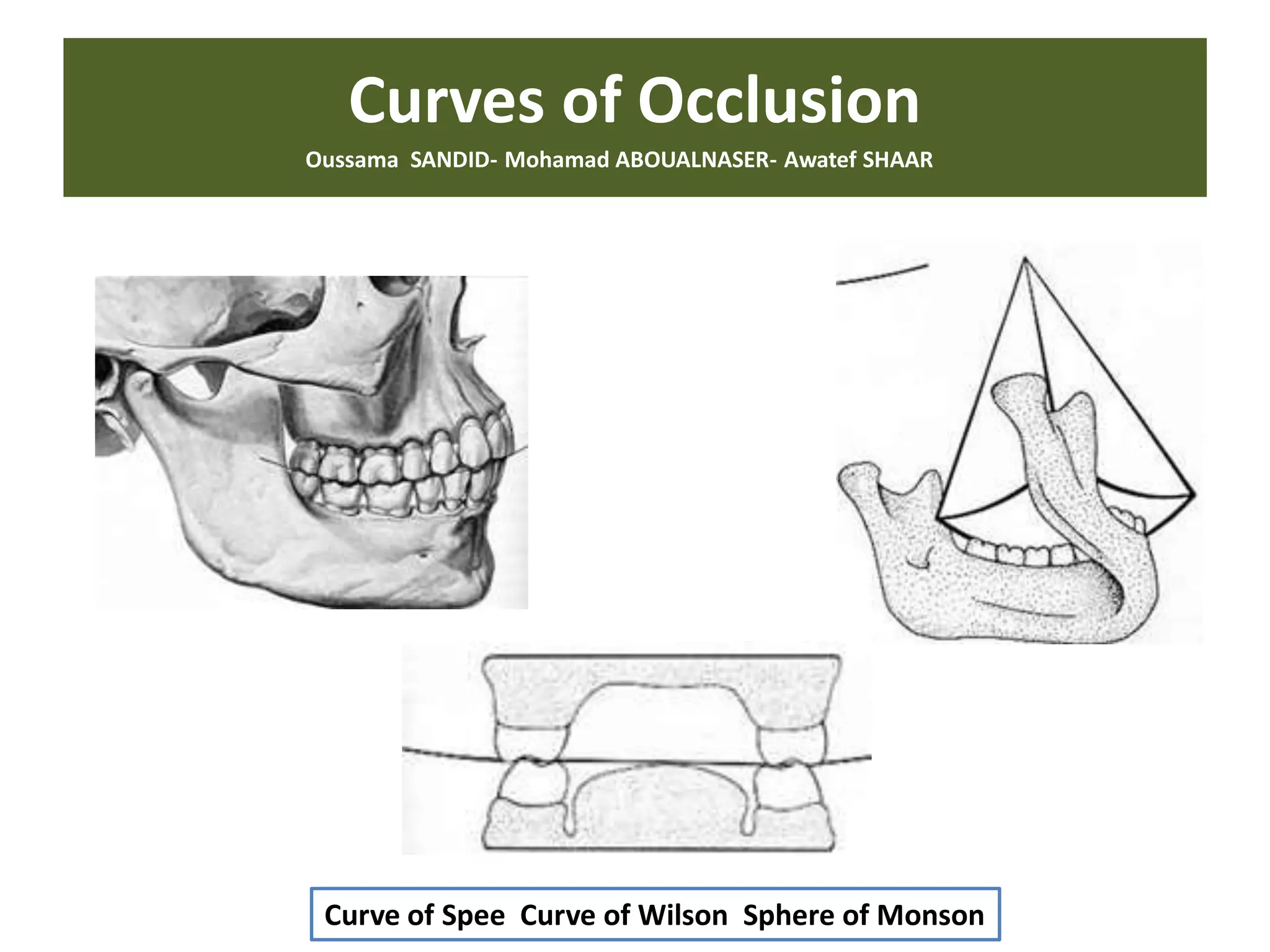 157 temporomandibular joint-tmj- anatomy mechanichs | PDF