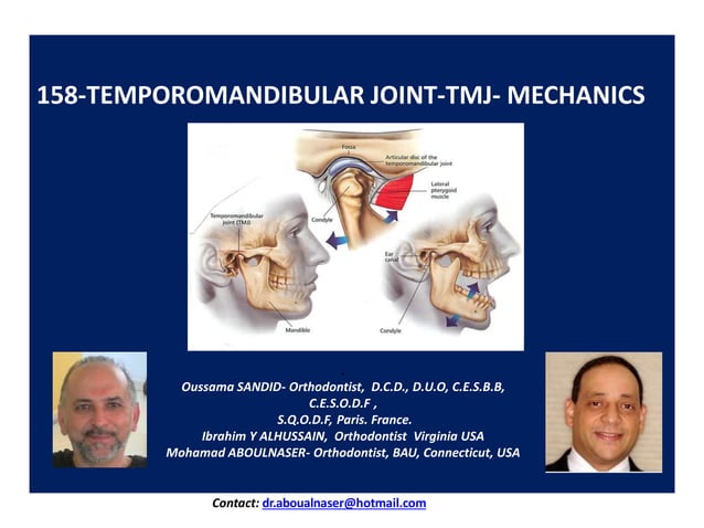 157 temporomandibular joint-tmj- anatomy mechanichs | PDF