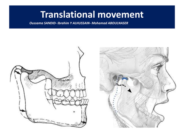 157 temporomandibular joint-tmj- anatomy mechanichs | PDF