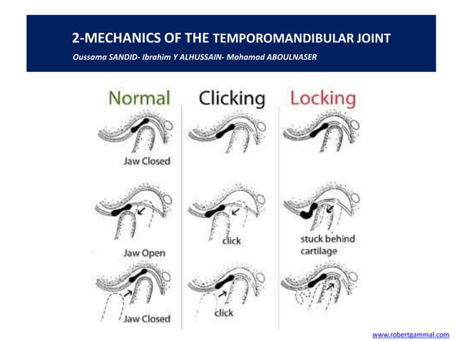 157 temporomandibular joint-tmj- anatomy mechanichs | PDF