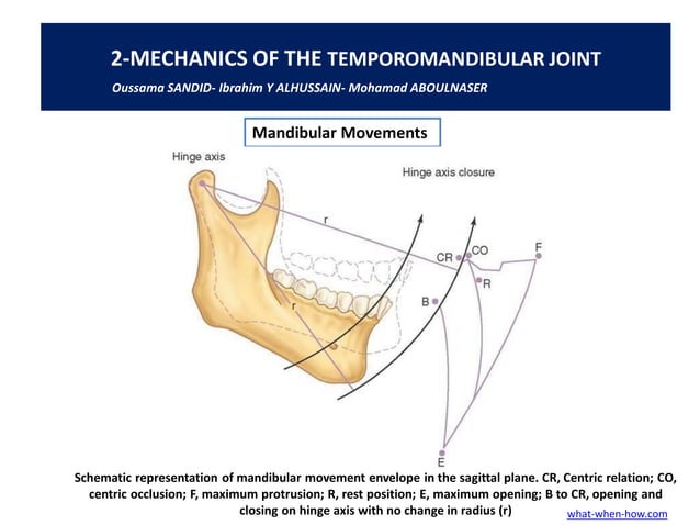 157 temporomandibular joint-tmj- anatomy mechanichs | PDF