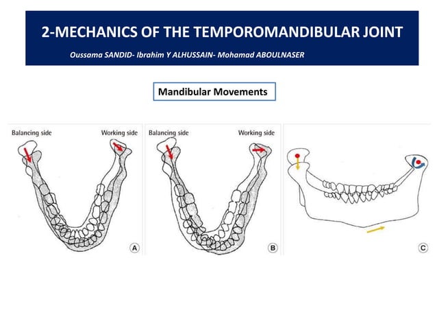 157 temporomandibular joint-tmj- anatomy mechanichs | PDF