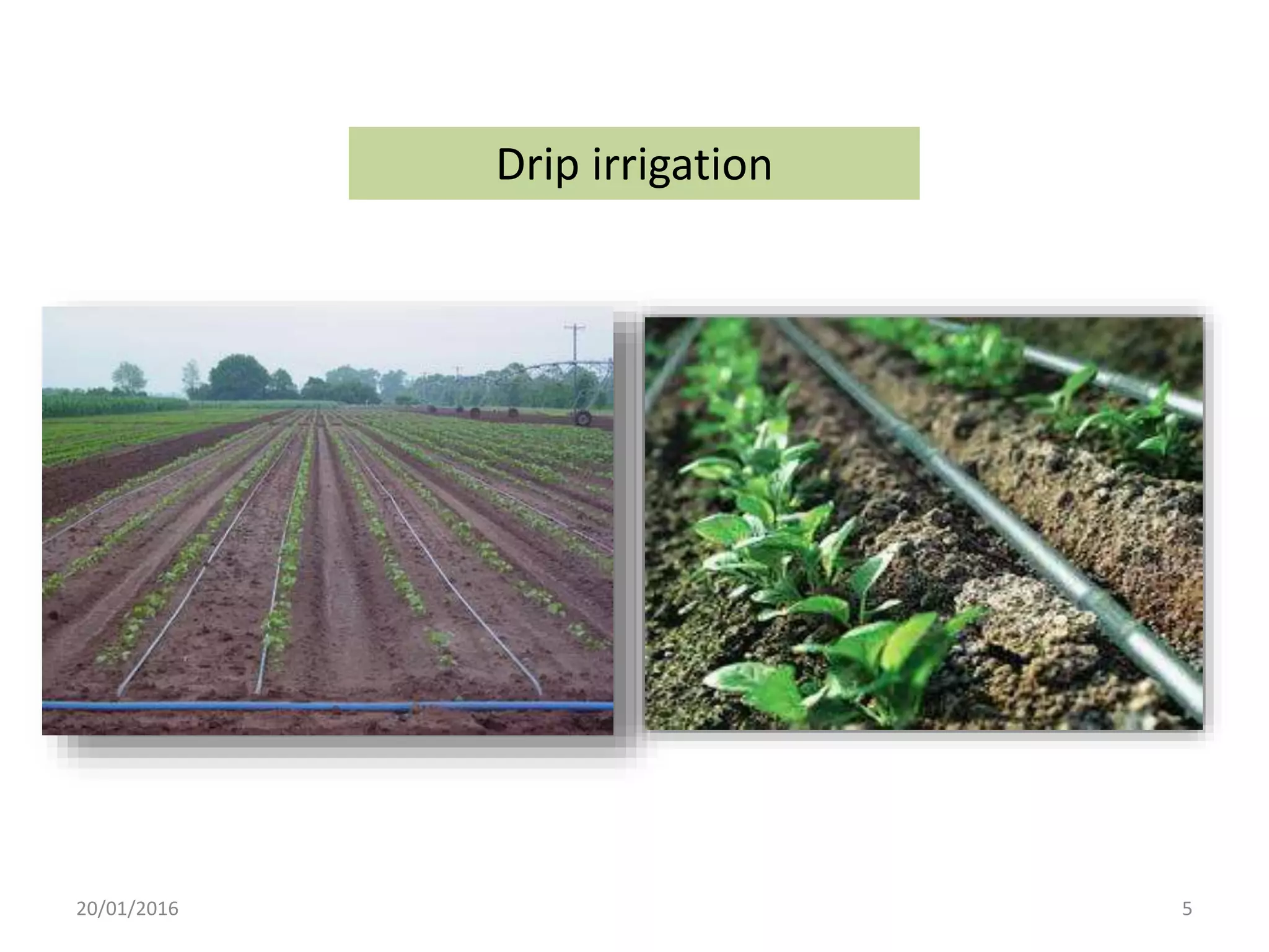 microcontroller based controlled irrigation system for plantation | PPT