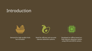 Offline Based OnField Fruit Ripeness Detection System (1).pptx