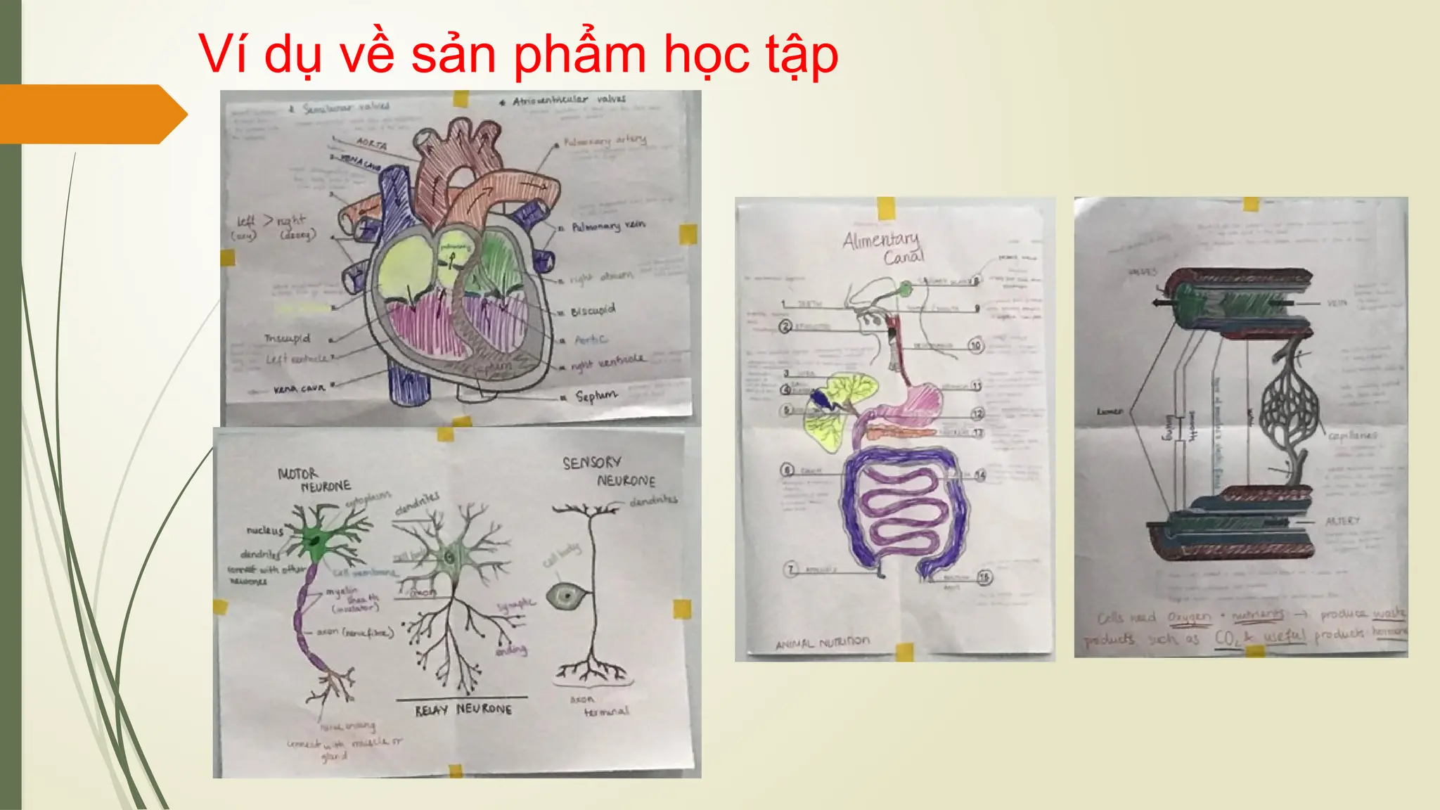1571284700-1546843834-GIAO-DUC-STEM-TRONG-GDPT.pptx