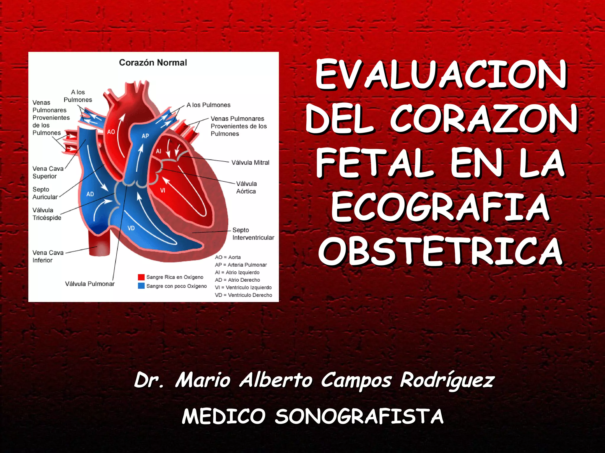 Corazón Fetal en la ecografía Obstétrica | PPT