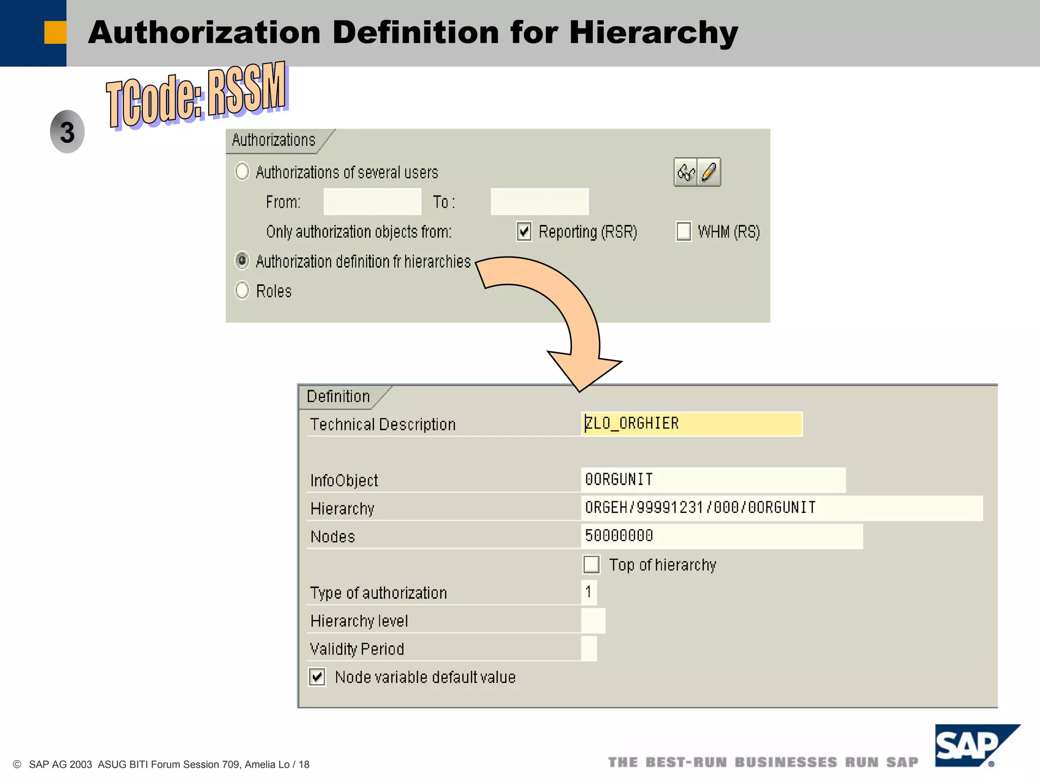 157265792-Advanced-Features-of-SAP-BW-Reporting-Authorizations.pdf