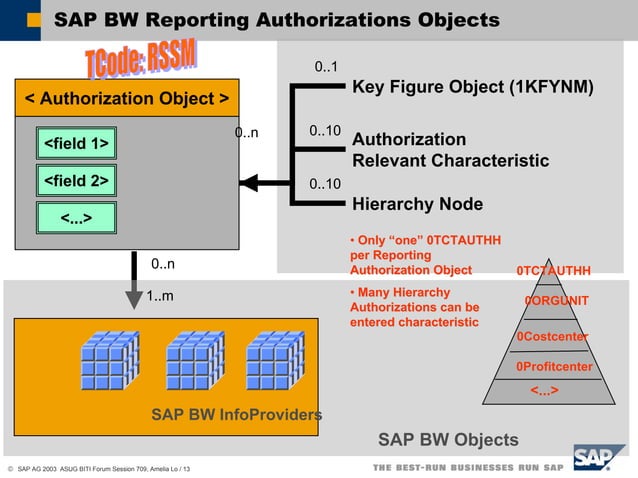 157265792-Advanced-Features-of-SAP-BW-Reporting-Authorizations.pdf | Cloud Computing | Internet