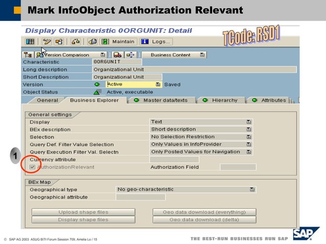 157265792-Advanced-Features-of-SAP-BW-Reporting-Authorizations.pdf | Cloud Computing | Internet