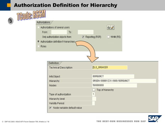 157265792-Advanced-Features-of-SAP-BW-Reporting-Authorizations.pdf | Cloud Computing | Internet