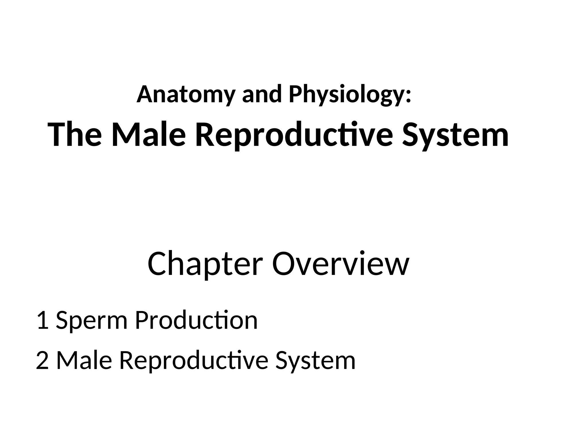 Male reproductive tract and system anatomy | PPT