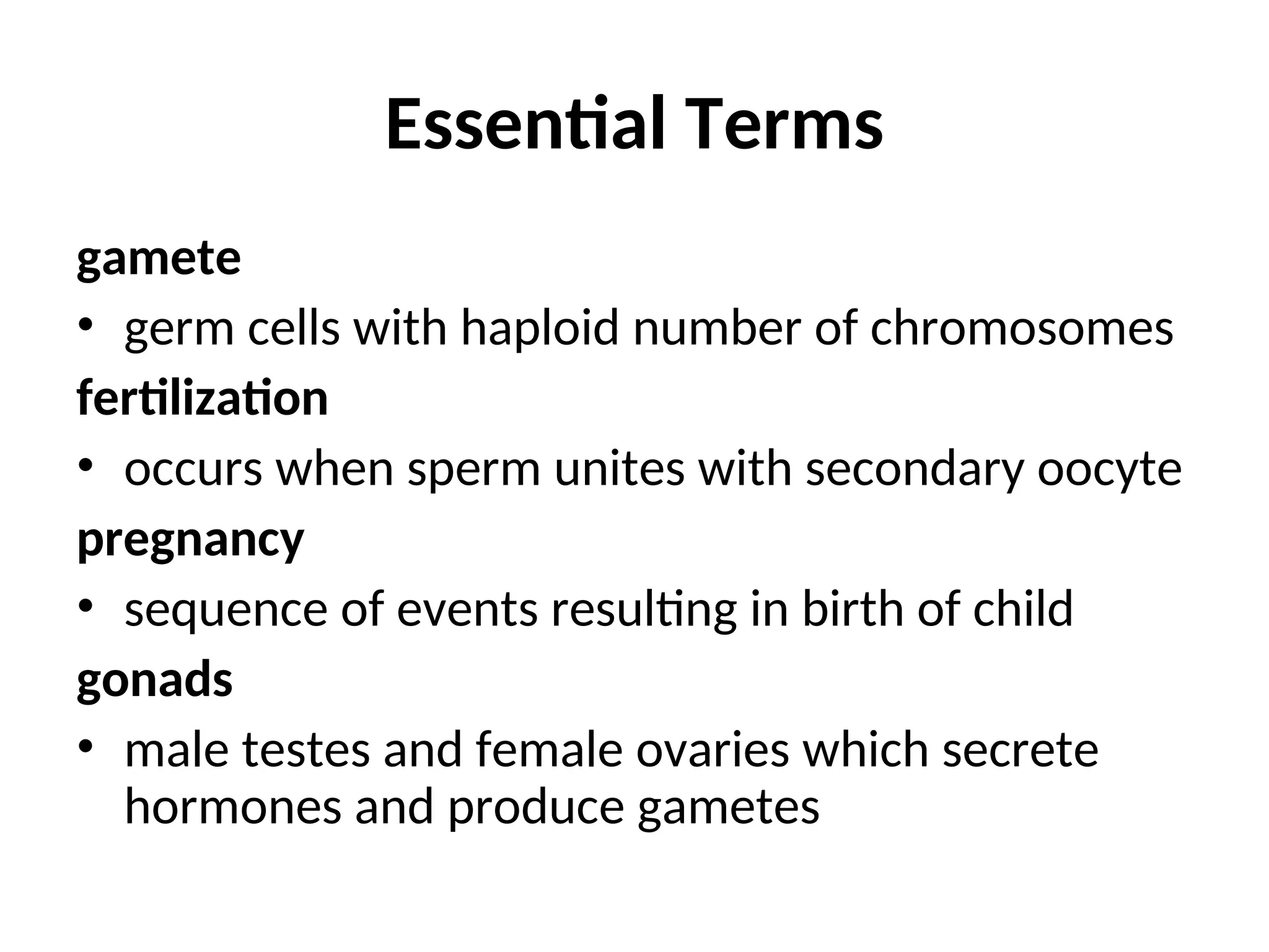 Male reproductive tract and system anatomy | PPT