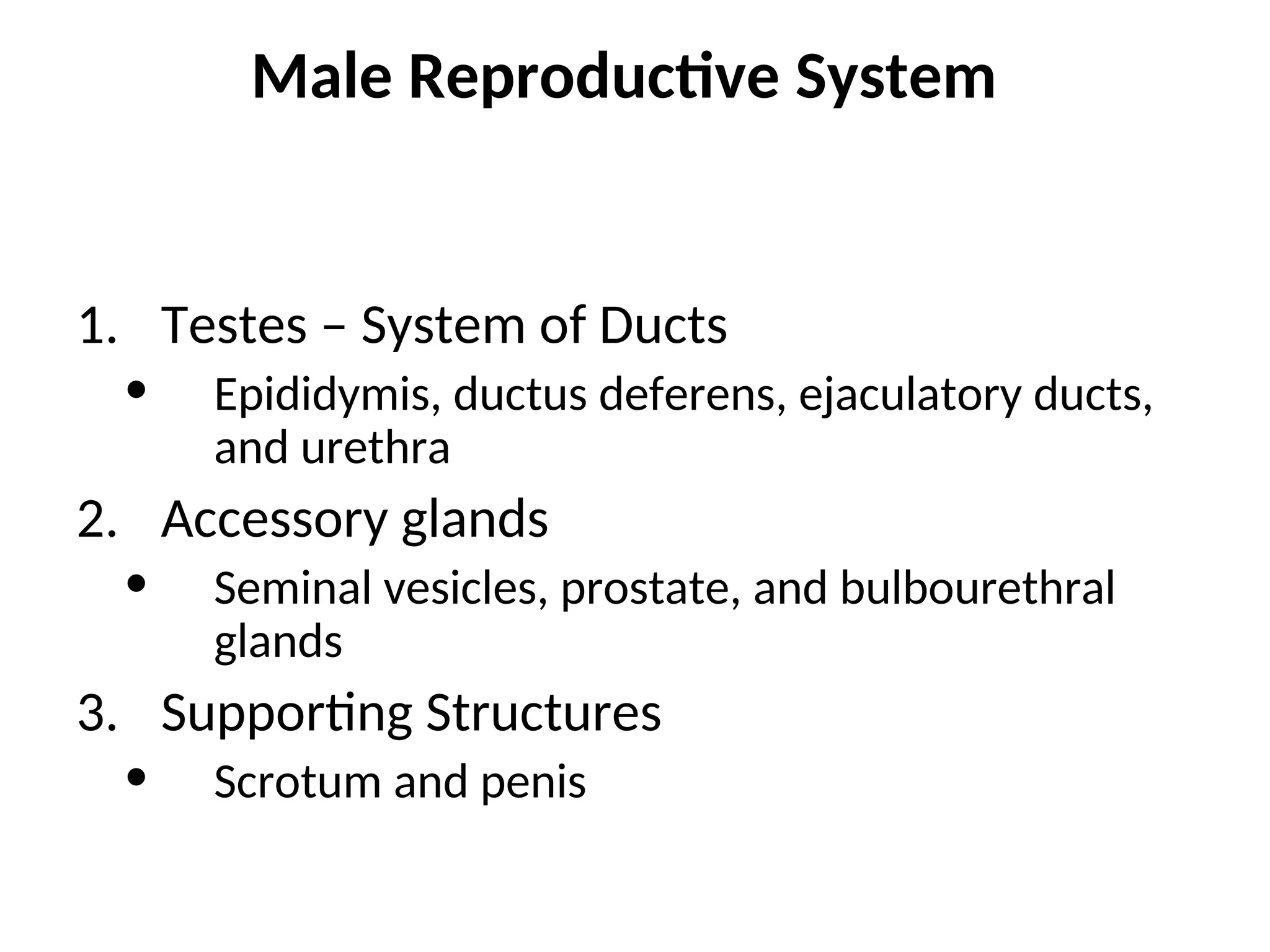 Male reproductive tract and system anatomy | PPT
