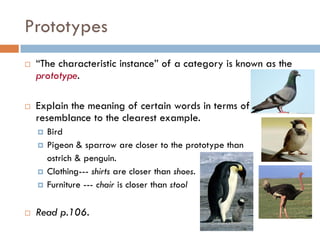 15733_Lecture 13.pdfjjiiiiiiiiiiiiiiiiiii | PDF | Soccer | Sports