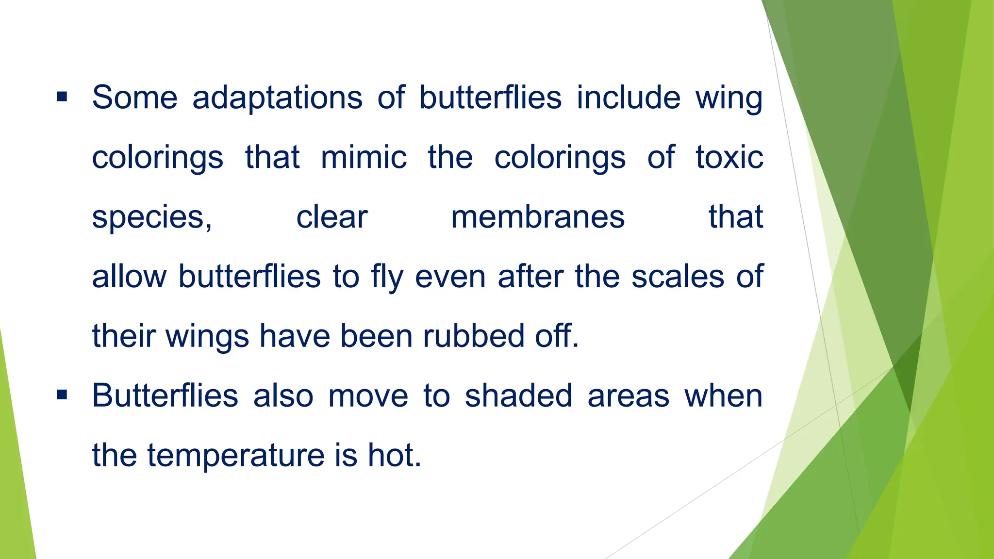 1573_Flight adaptation of specimens 1.pptx