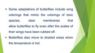 1573_Flight adaptation of specimens 1.pptx