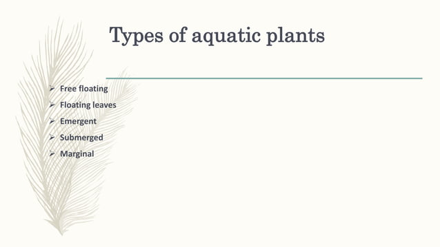 Aquatic macrophytes in pond | PPT
