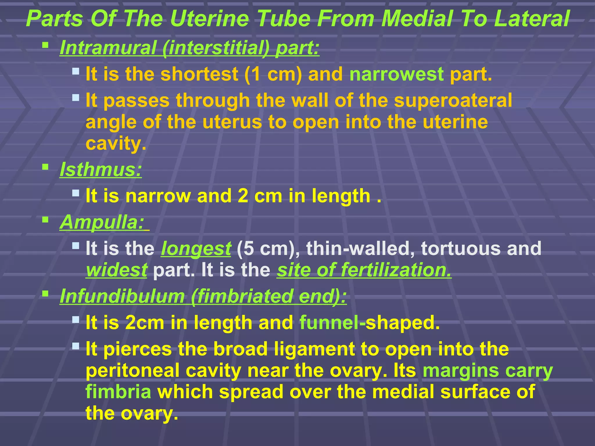 15745481 female-reproductive-system | PPT