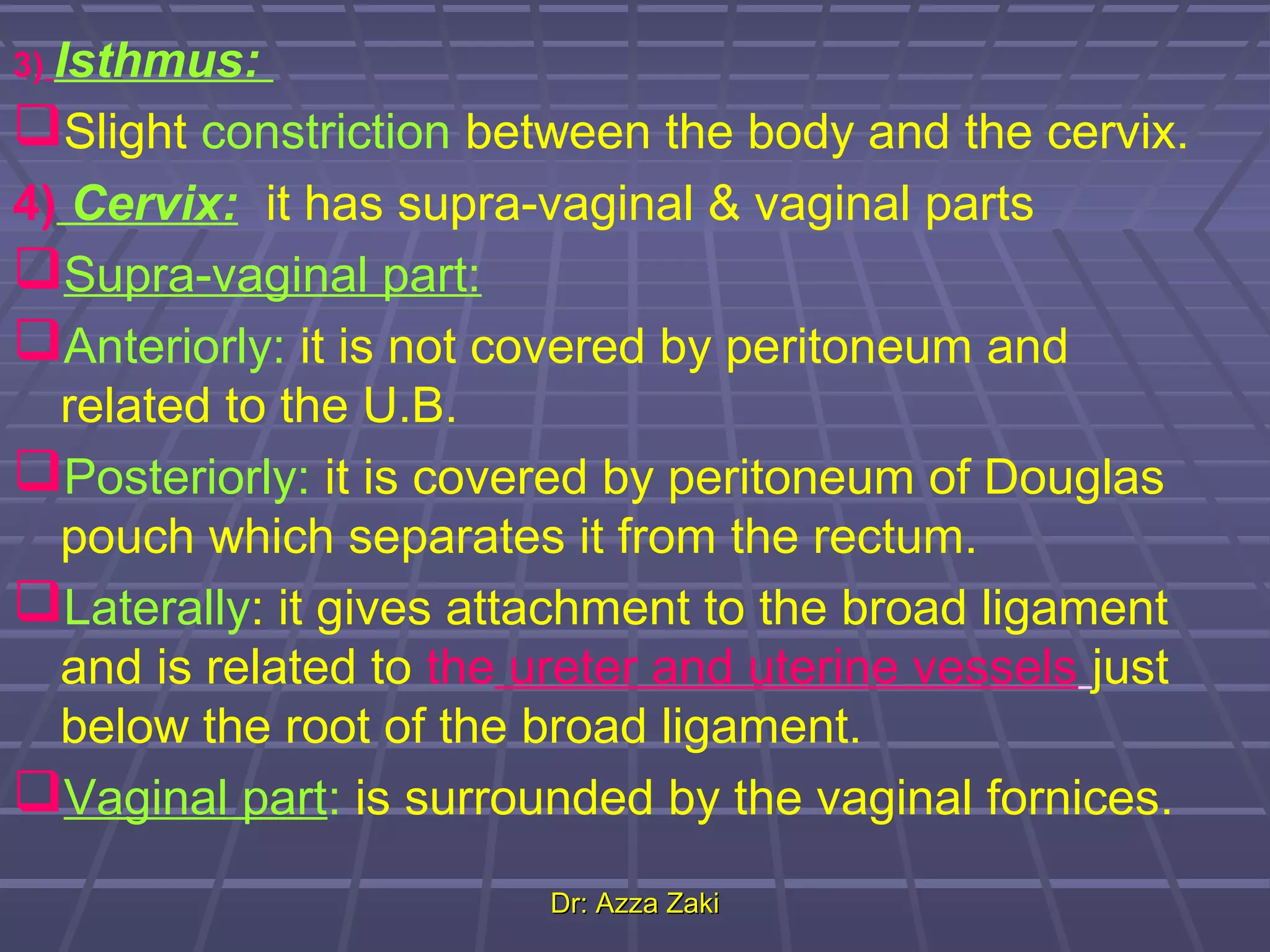 15745481 female-reproductive-system | PPT