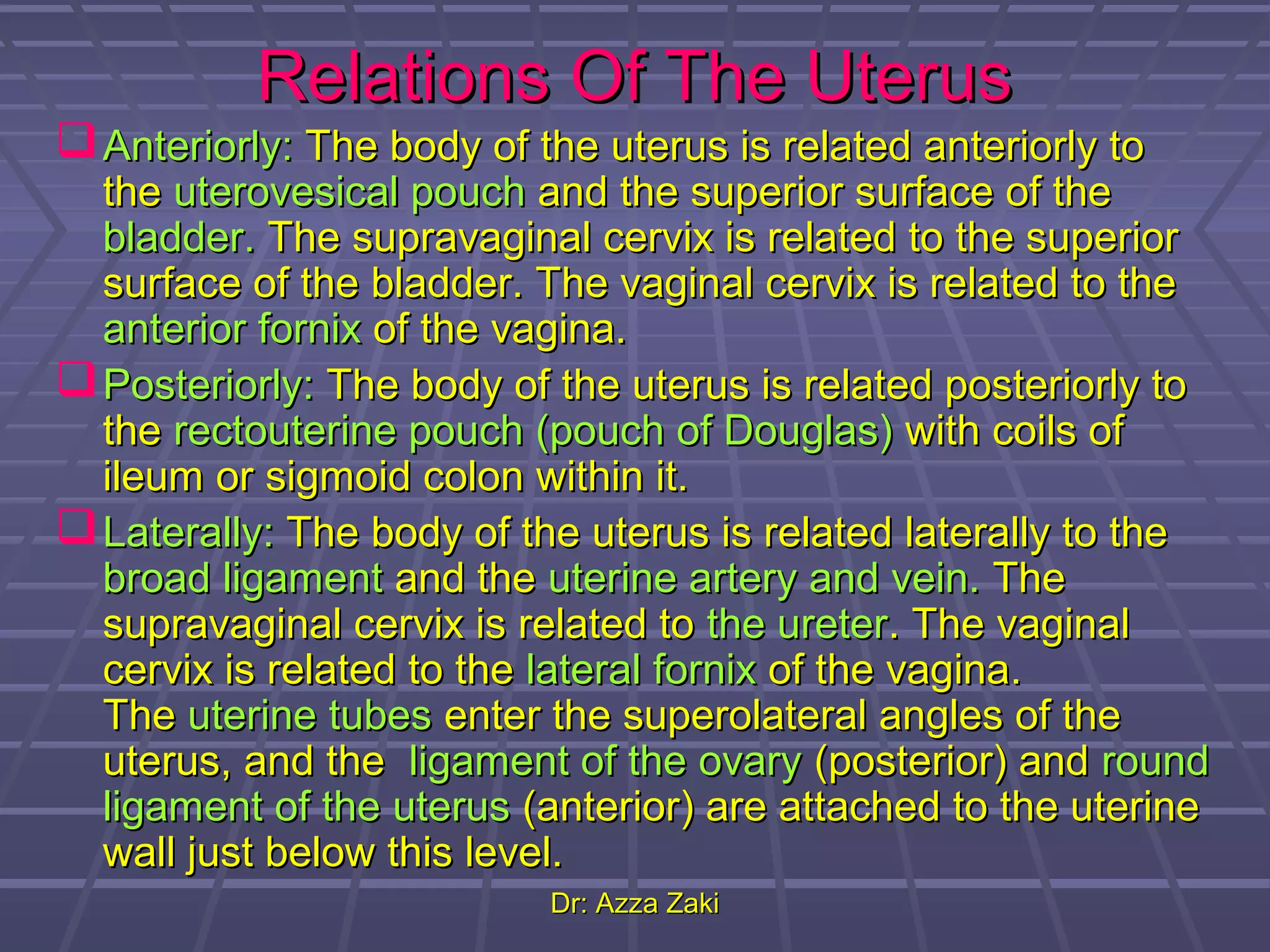 15745481 female-reproductive-system | PPT