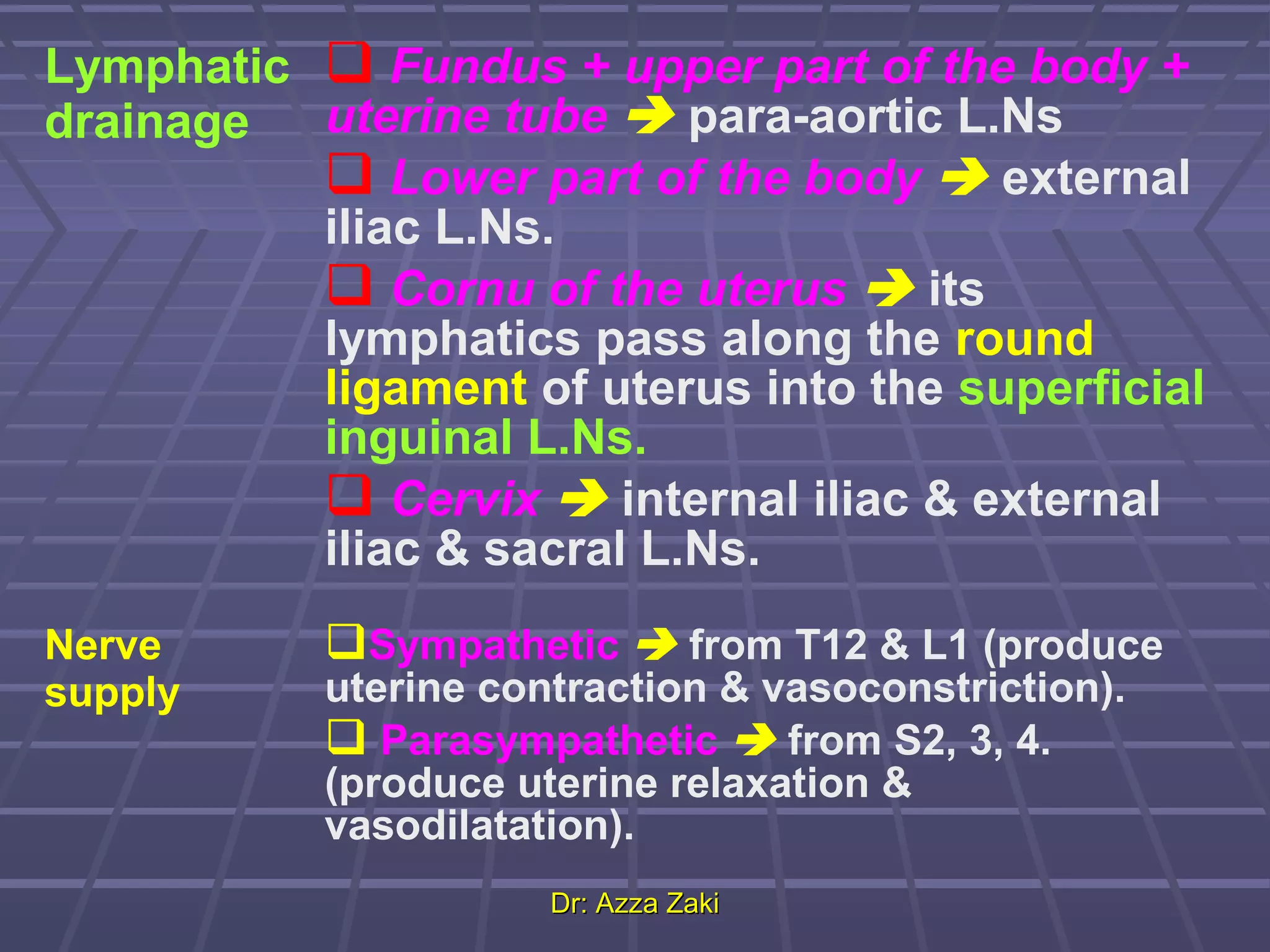 15745481 female-reproductive-system | PPT