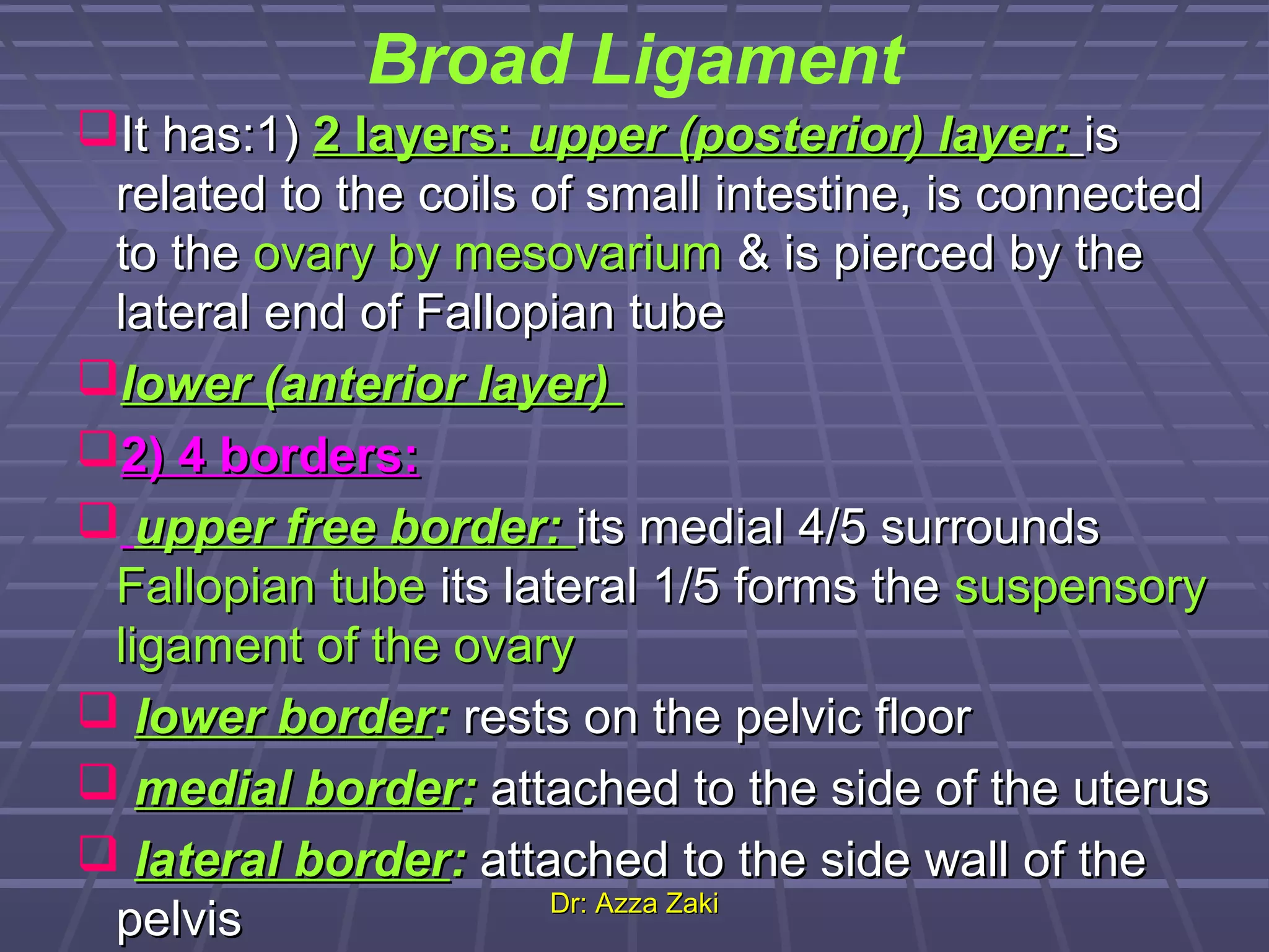15745481 female-reproductive-system | PPT