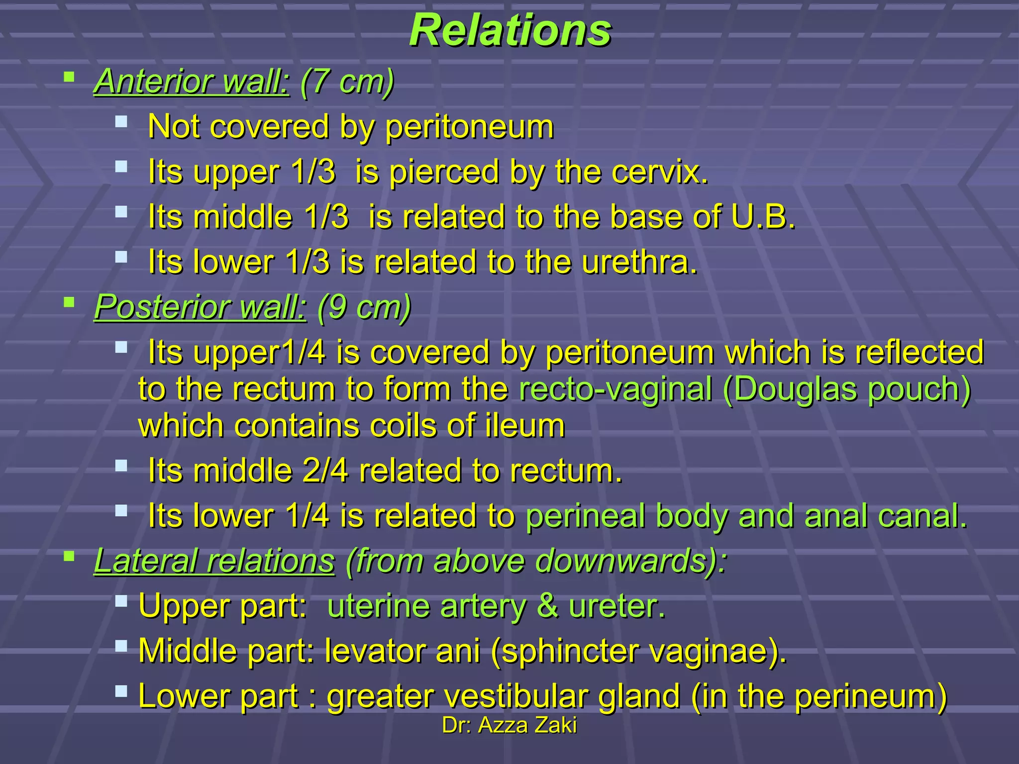 15745481 female-reproductive-system | PPT