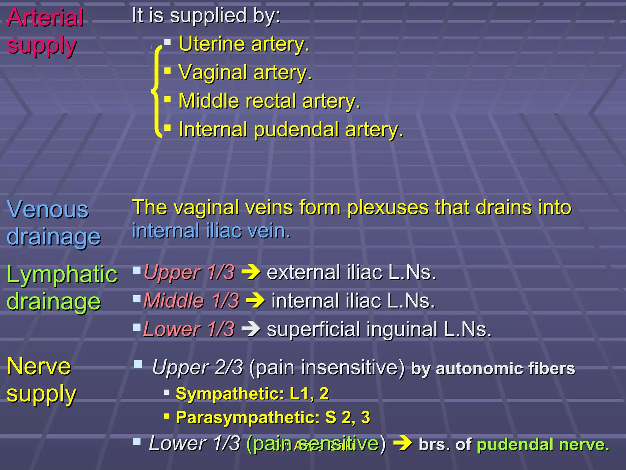 15745481 female-reproductive-system | PPT