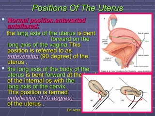 15745481 female-reproductive-system | PPT