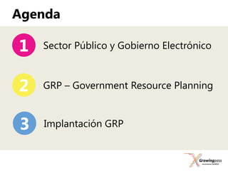 Implantación de GRP: Lineamientos y mejores prácticas | PDF