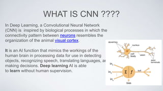 Ghaziabad, India - Early Detection of Various Types of Skin Cancer ...