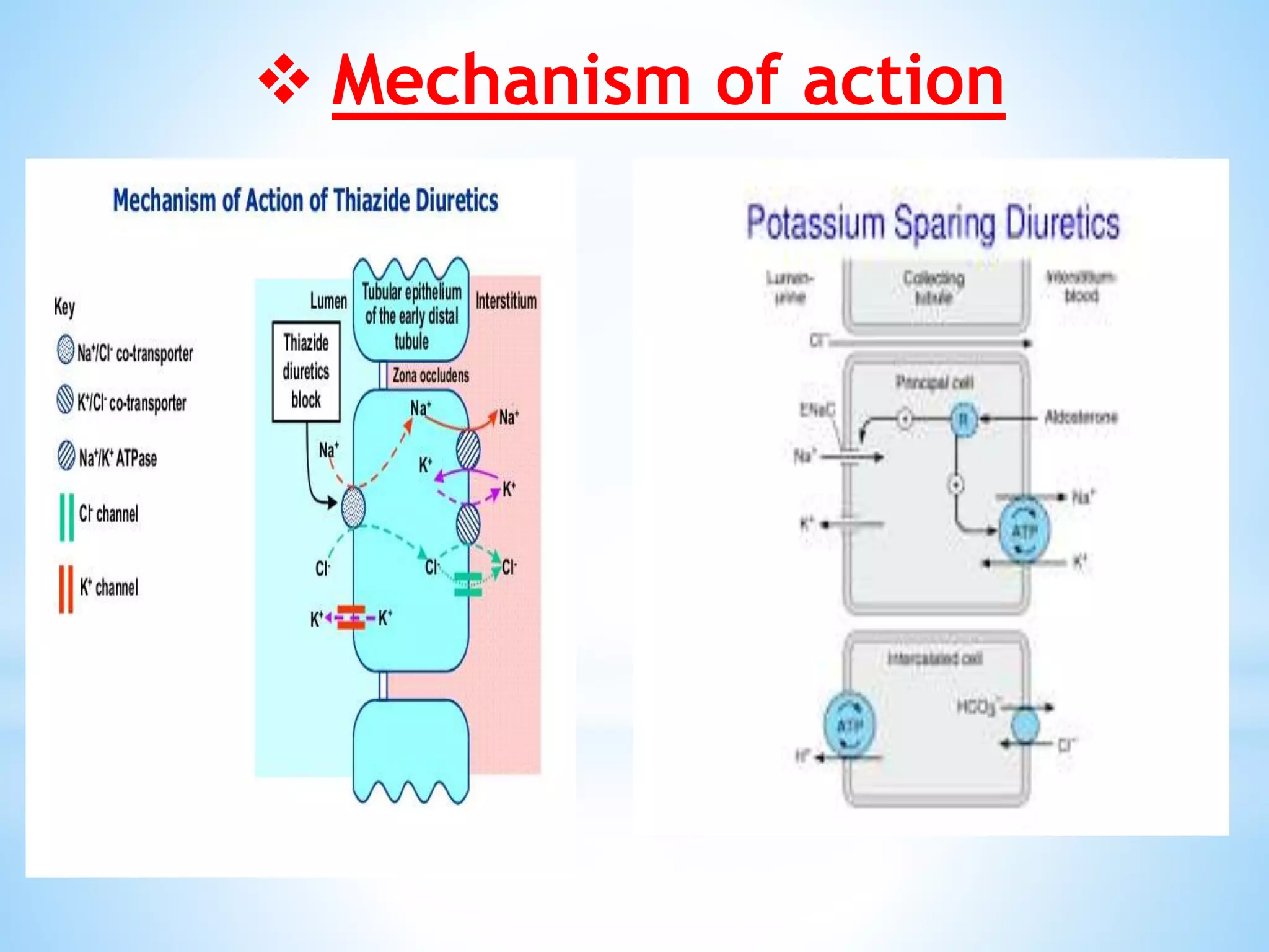 Diuretics-Mechanism of action,Diuretic Types and Adverse effects,Drug ...