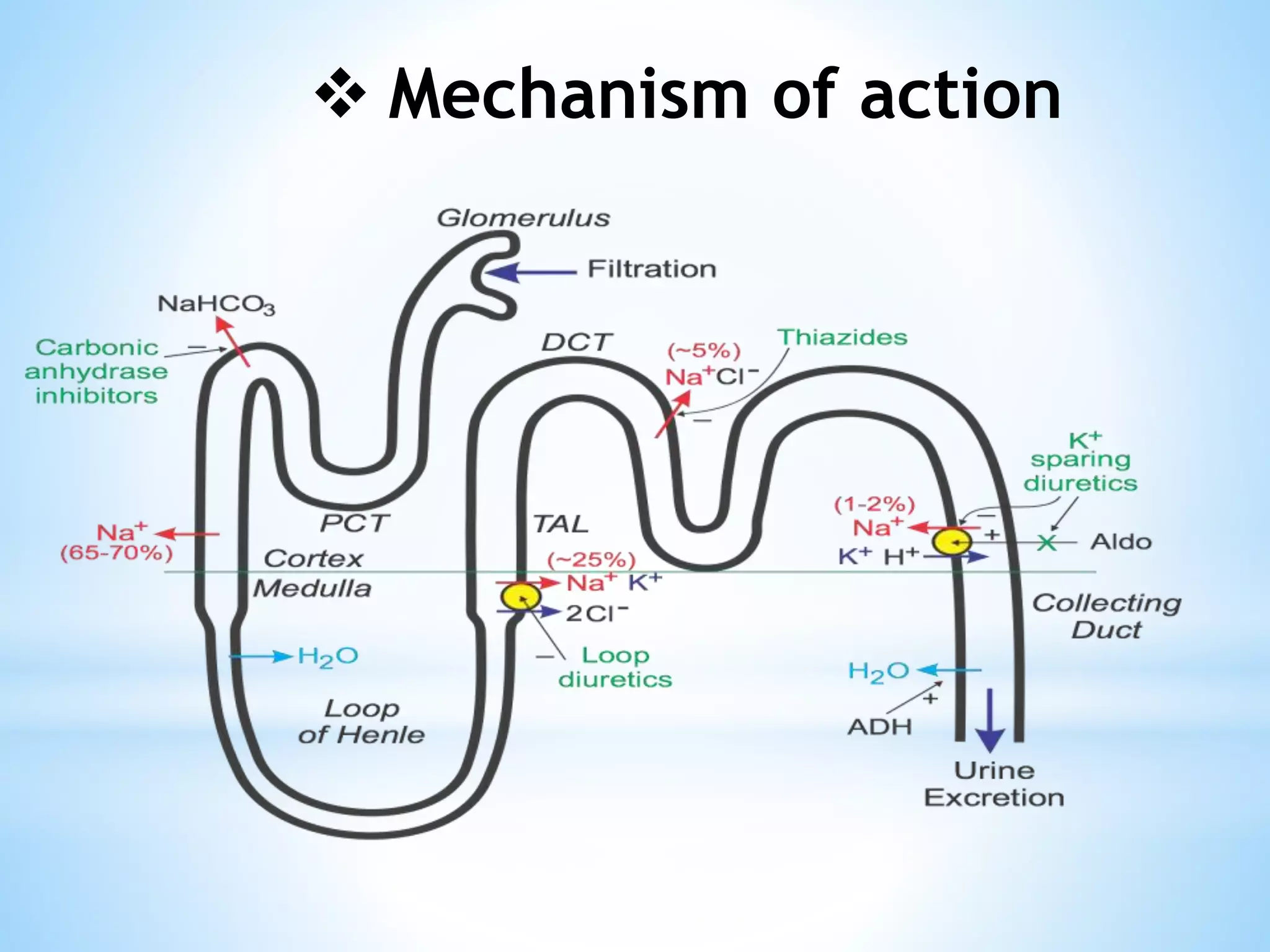 Diuretics-Mechanism of action,Diuretic Types and Adverse effects,Drug ...