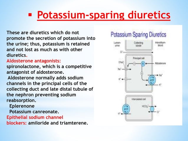 Diuretics-Mechanism of action,Diuretic Types and Adverse effects,Drug ...