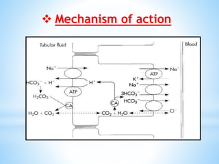 Diuretics-Mechanism of action,Diuretic Types and Adverse effects,Drug ...
