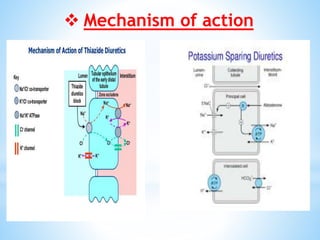 Diuretics-Mechanism of action,Diuretic Types and Adverse effects,Drug ...