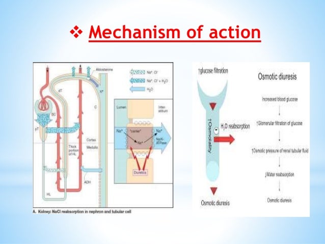 Diuretics-Mechanism of action,Diuretic Types and Adverse effects,Drug…
